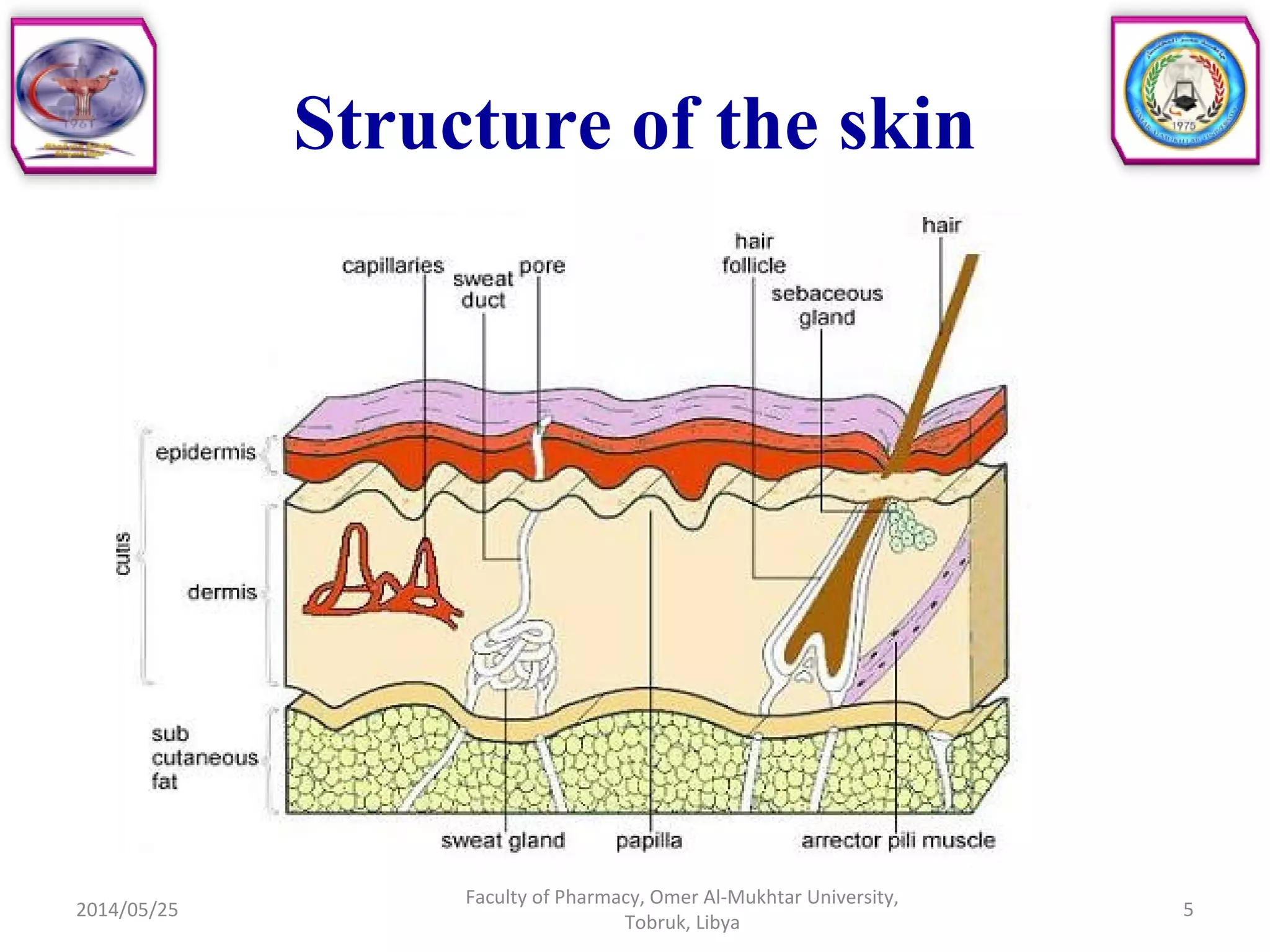 Topical preparations | PPT