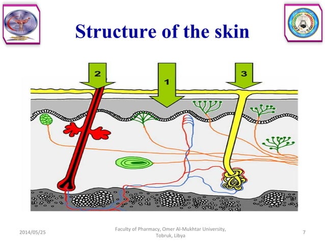 Topical preparations | PPT