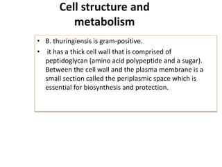 Bacillus thurengiensis | PPTX