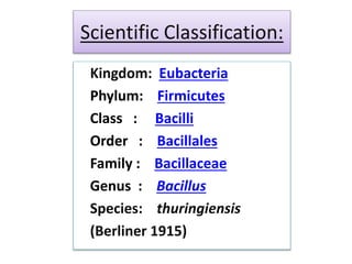 Bacillus thurengiensis | PPTX