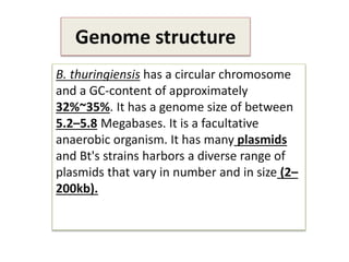 Bacillus thurengiensis | PPTX