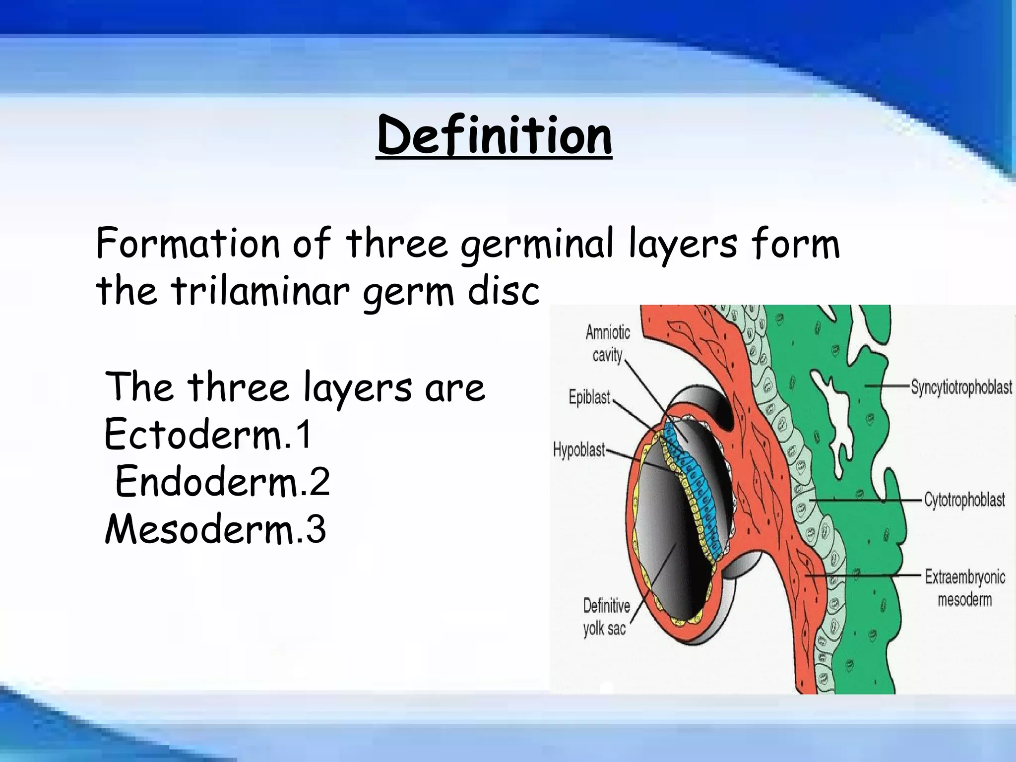 PHARYNGEAL ARCHES,POUCHES | PPT