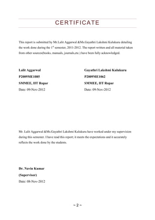 Btp report final_lalit | PDF