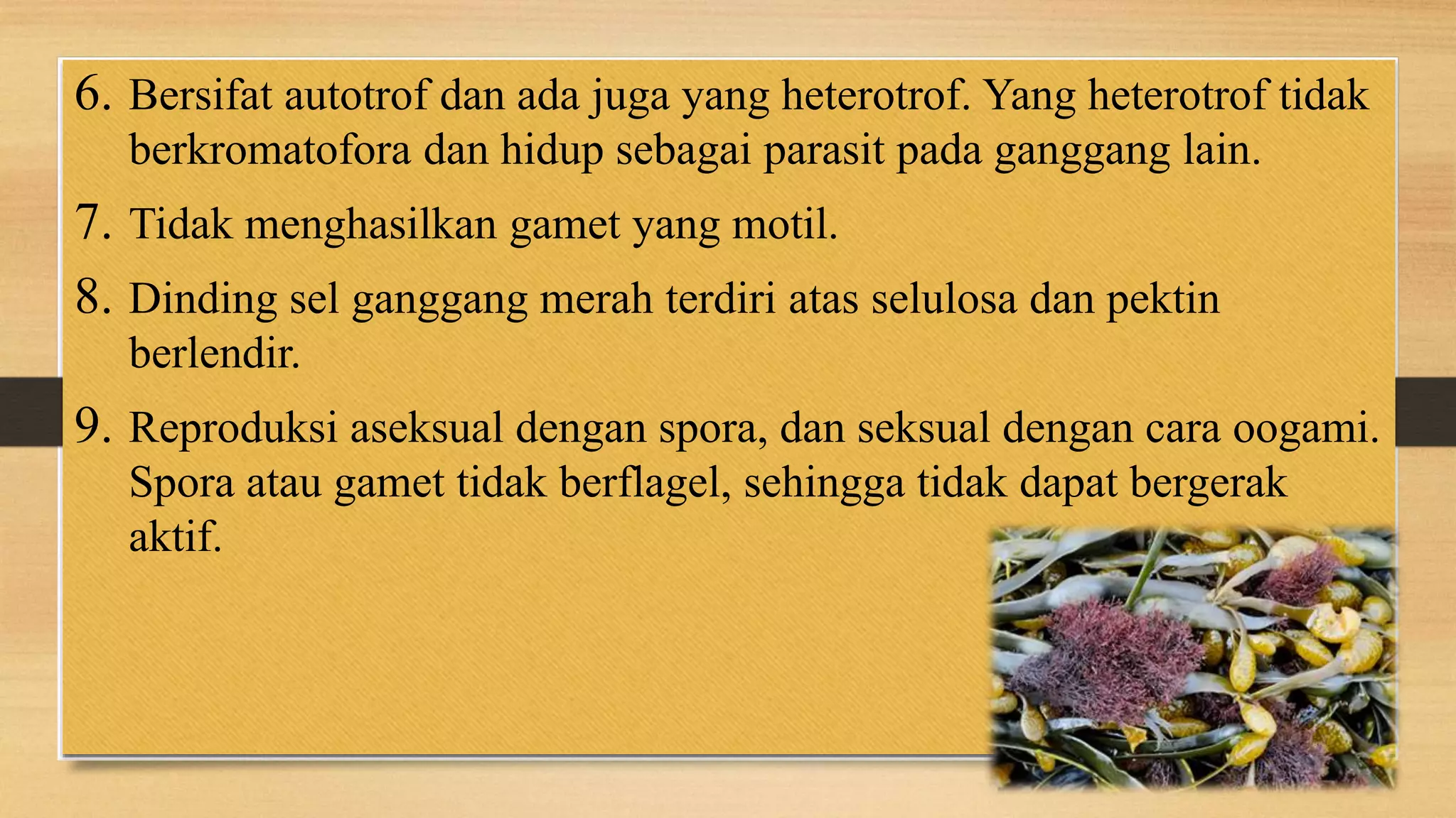 alga merah (rhodophyta) | PPTX