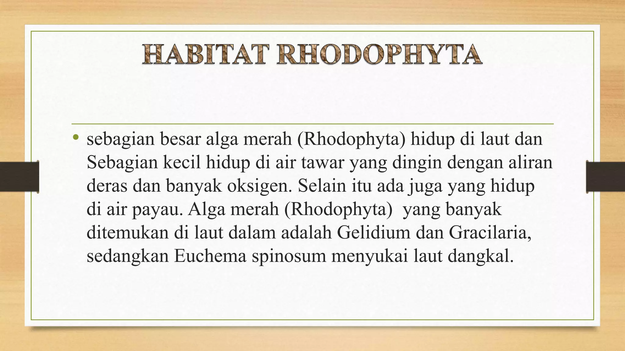 alga merah (rhodophyta) | PPTX
