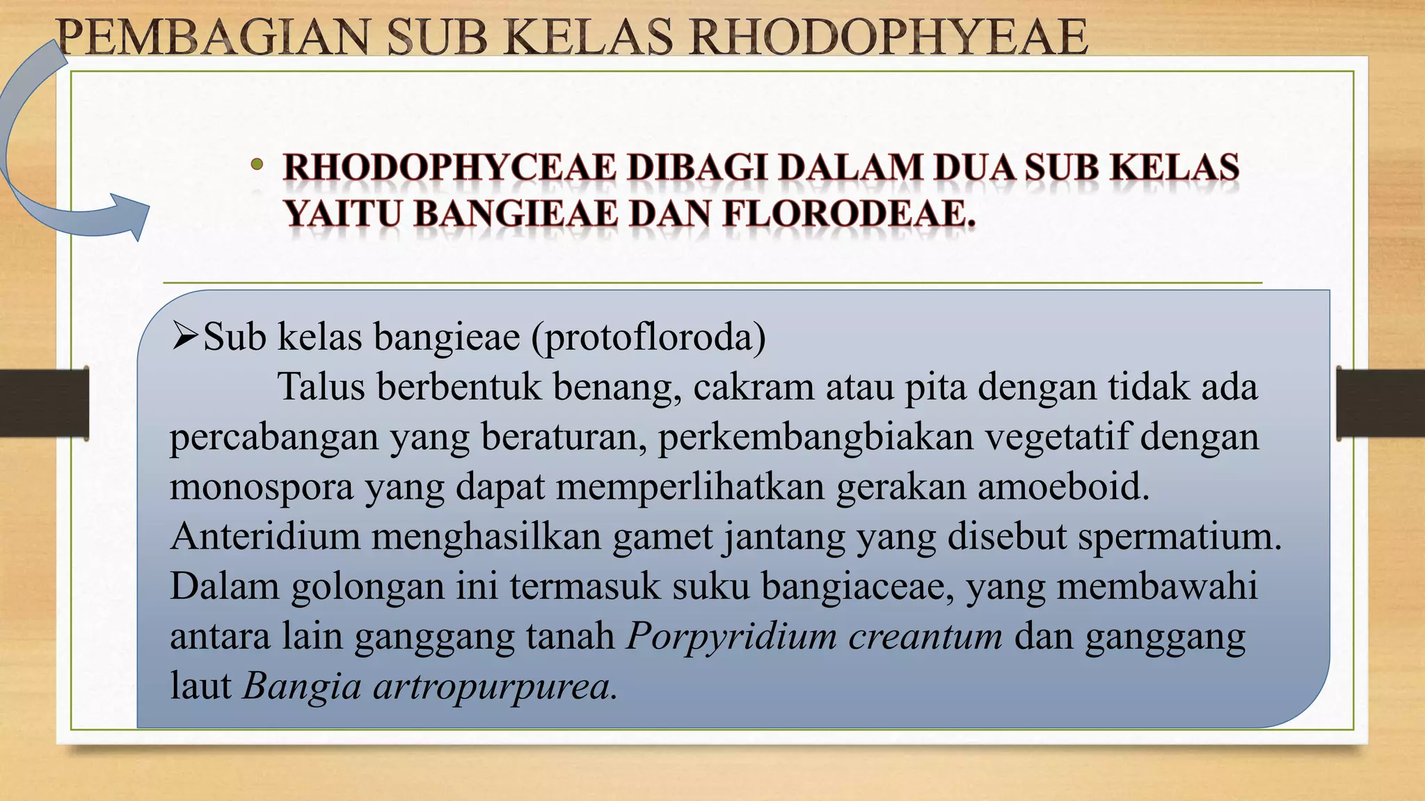 alga merah (rhodophyta) | PPTX