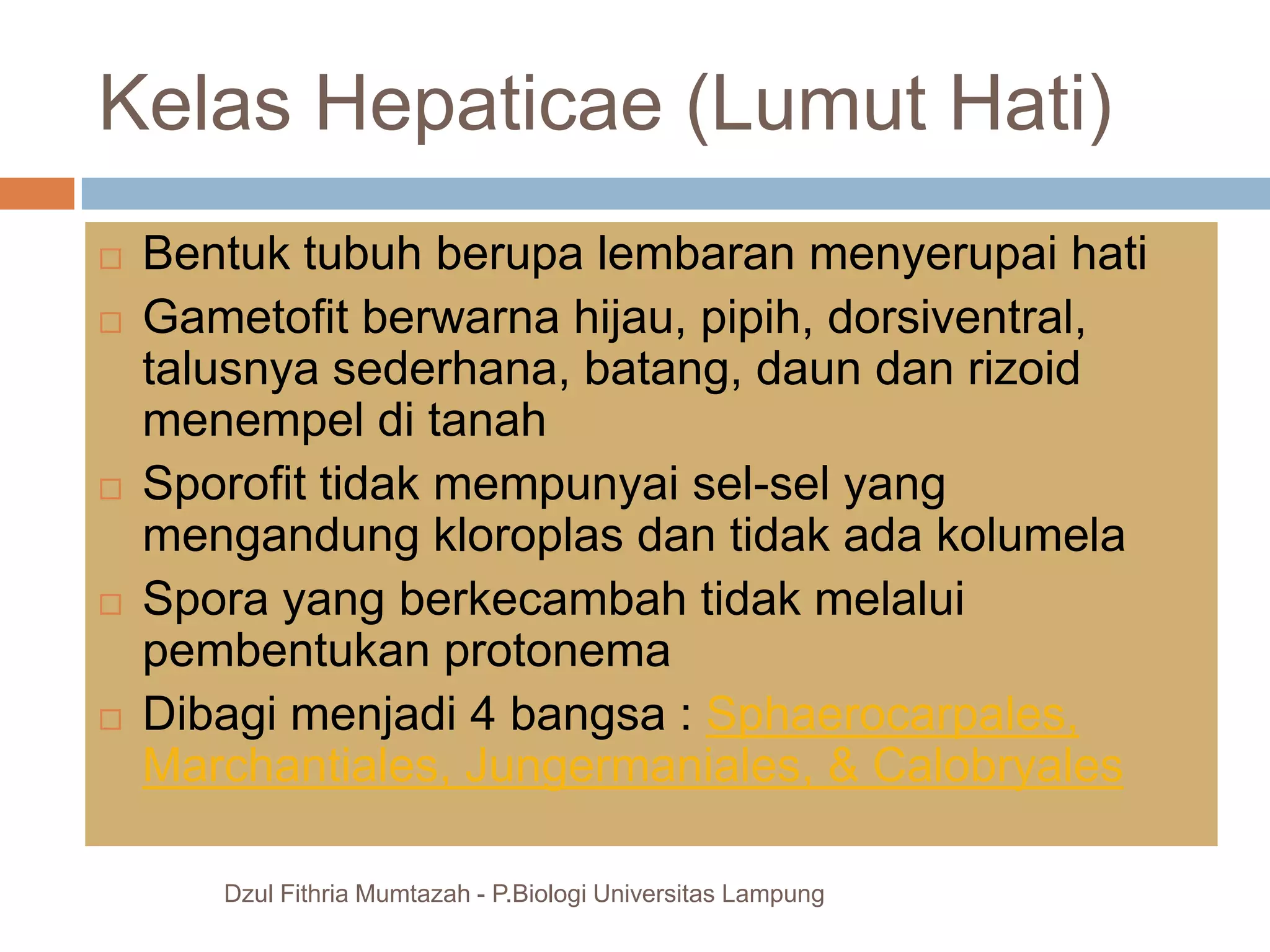 BTR (Botani Tumbuhan Rendah) bryophyta hepaticae | PPTX