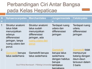 BTR (Botani Tumbuhan Rendah) bryophyta hepaticae | PPTX