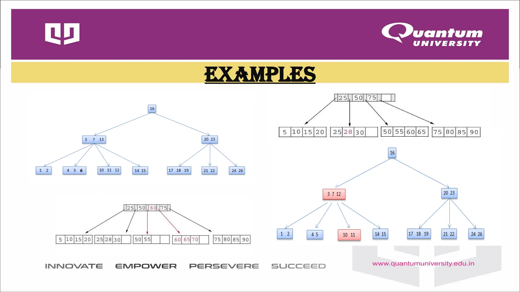 B best on presentation on tree ppt.pptx
