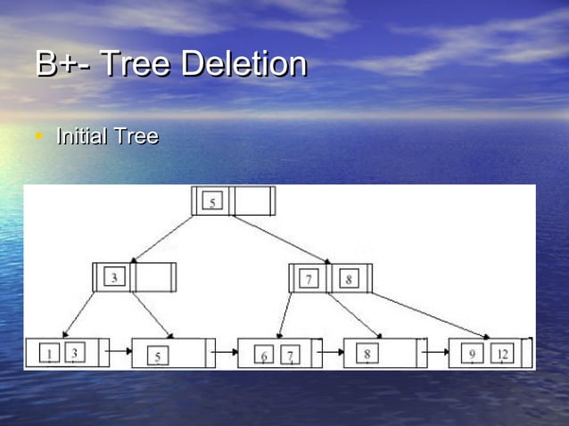 B trees dbms