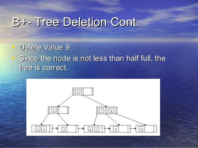 B Trees Dbms 