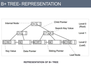 B+ trees and height balance tree | PPTX
