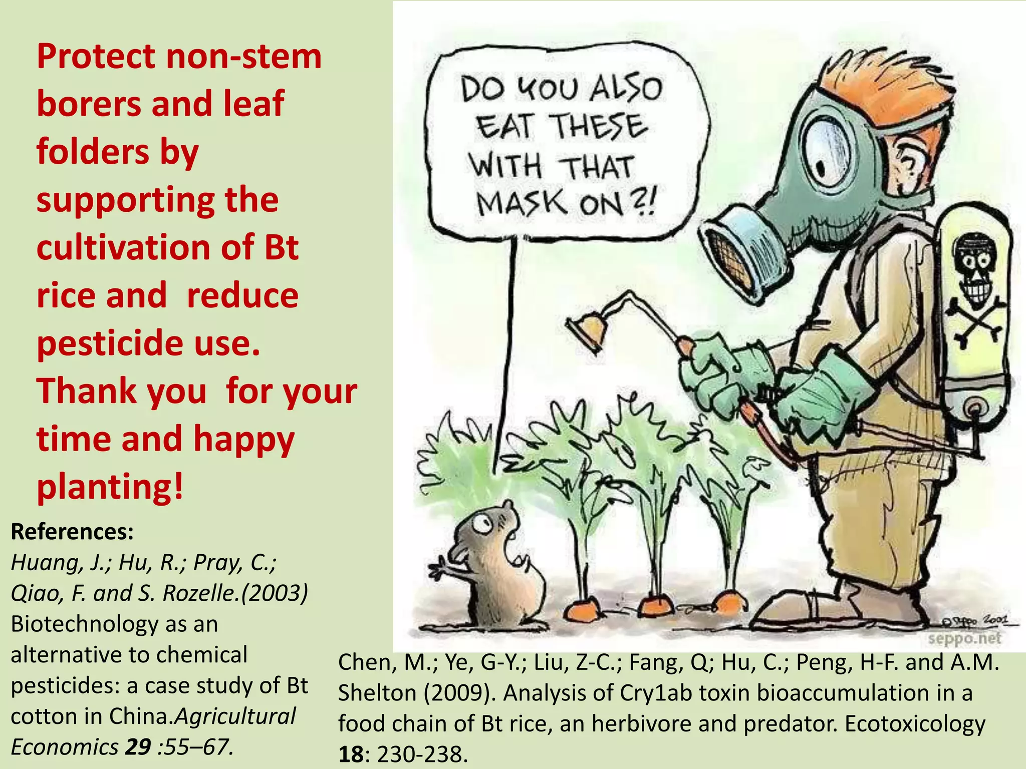 Bt rice presentation-final | PPTX