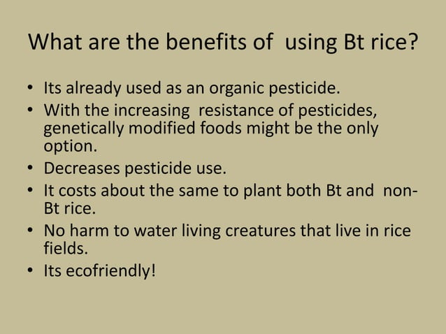 Bt rice presentation-final | PPTX | Agriculture | Industries
