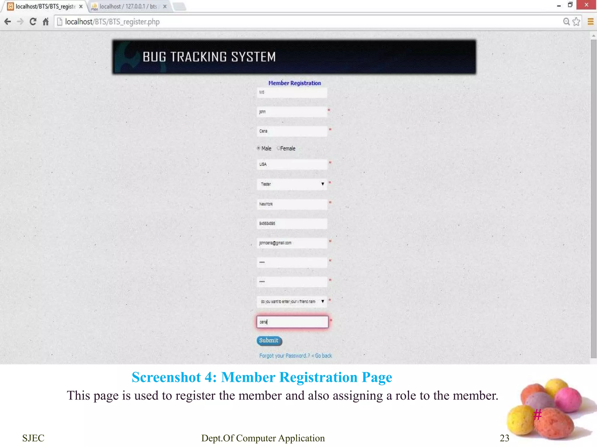 Bug Tracking System | PPTX | Operating Systems | Computer Software and Applications