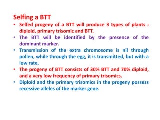 BTT.pptx
