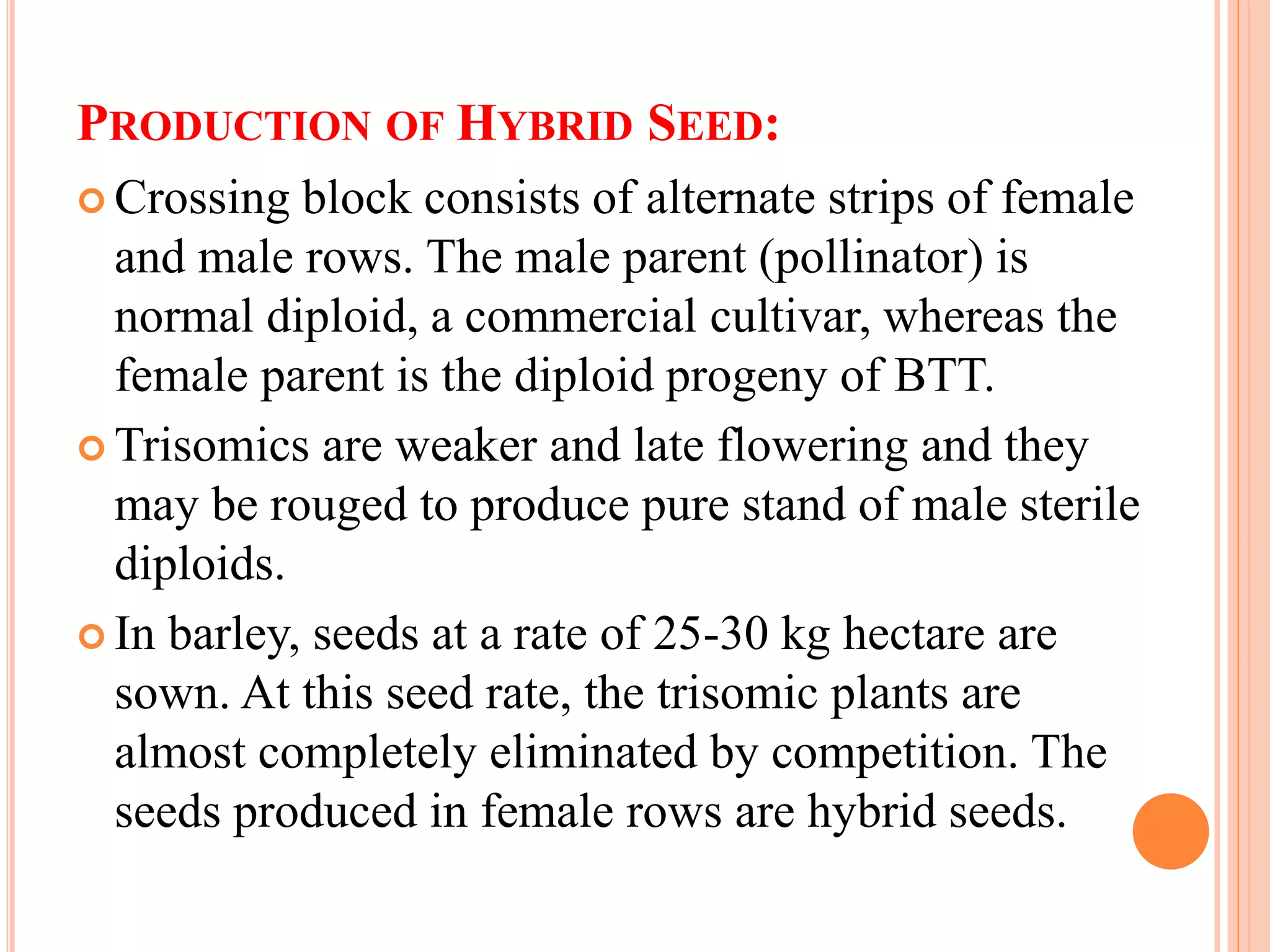 Balanced tertiary trismoics - Hybrid seed production | PPTX
