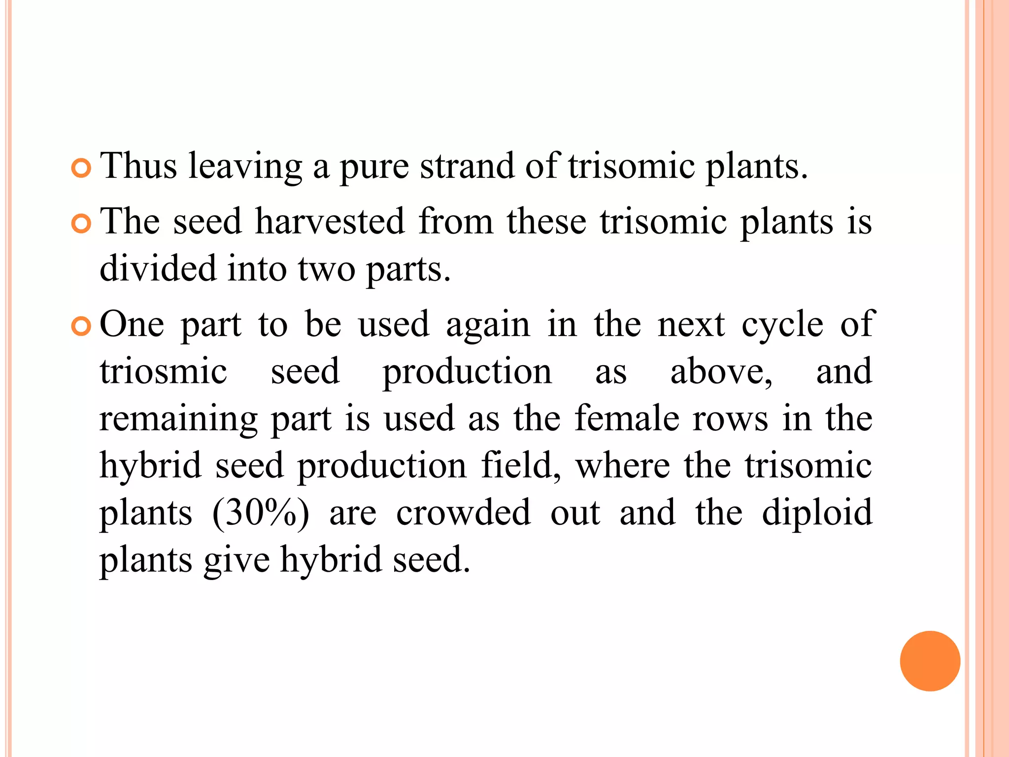 Balanced tertiary trismoics - Hybrid seed production | PPTX