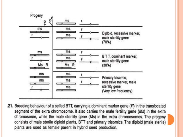 Balanced tertiary trismoics - Hybrid seed production | PPTX