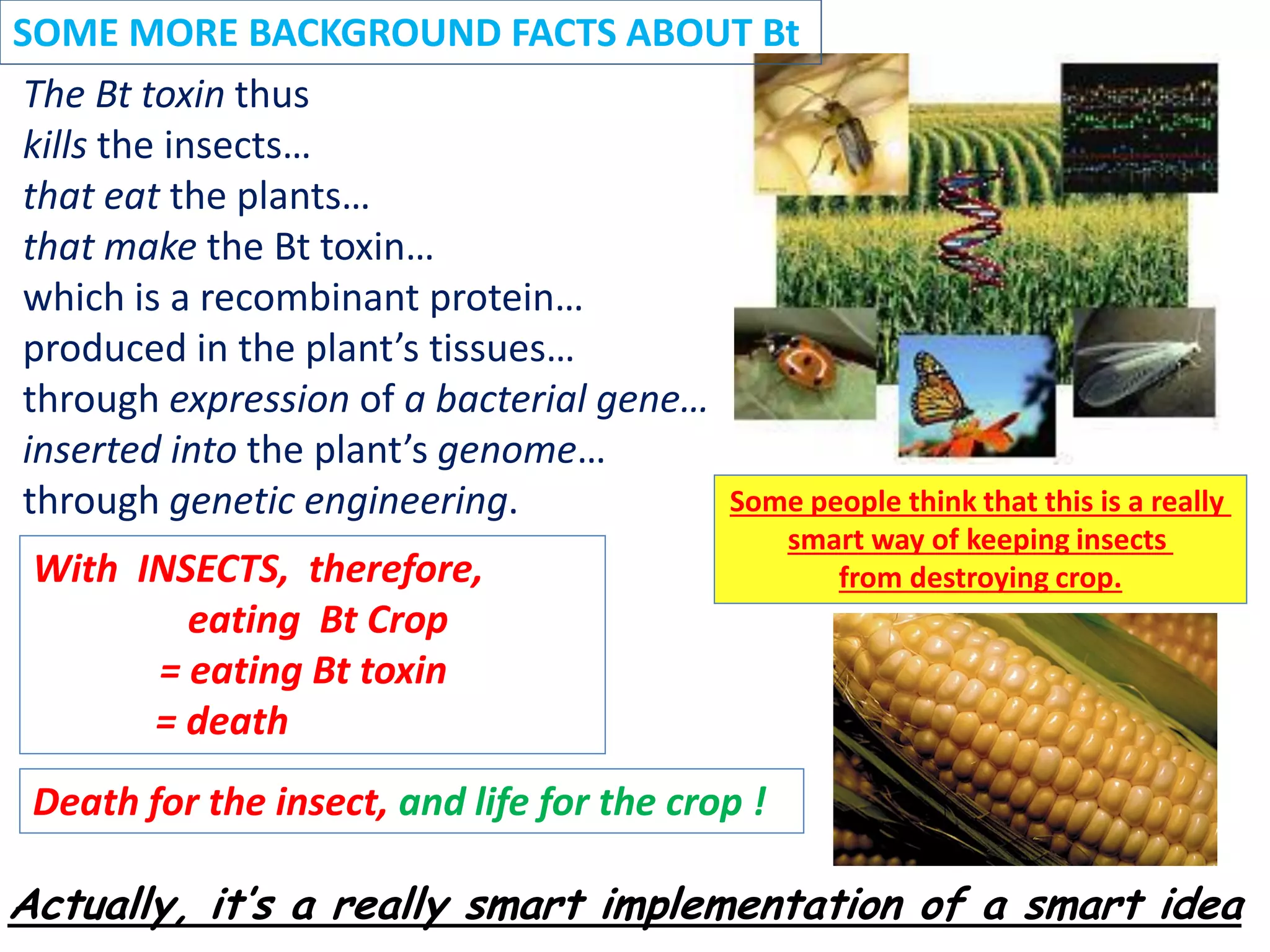 Bt Toxin Science - Everything You Want to Know about, "WHY It's Not ...