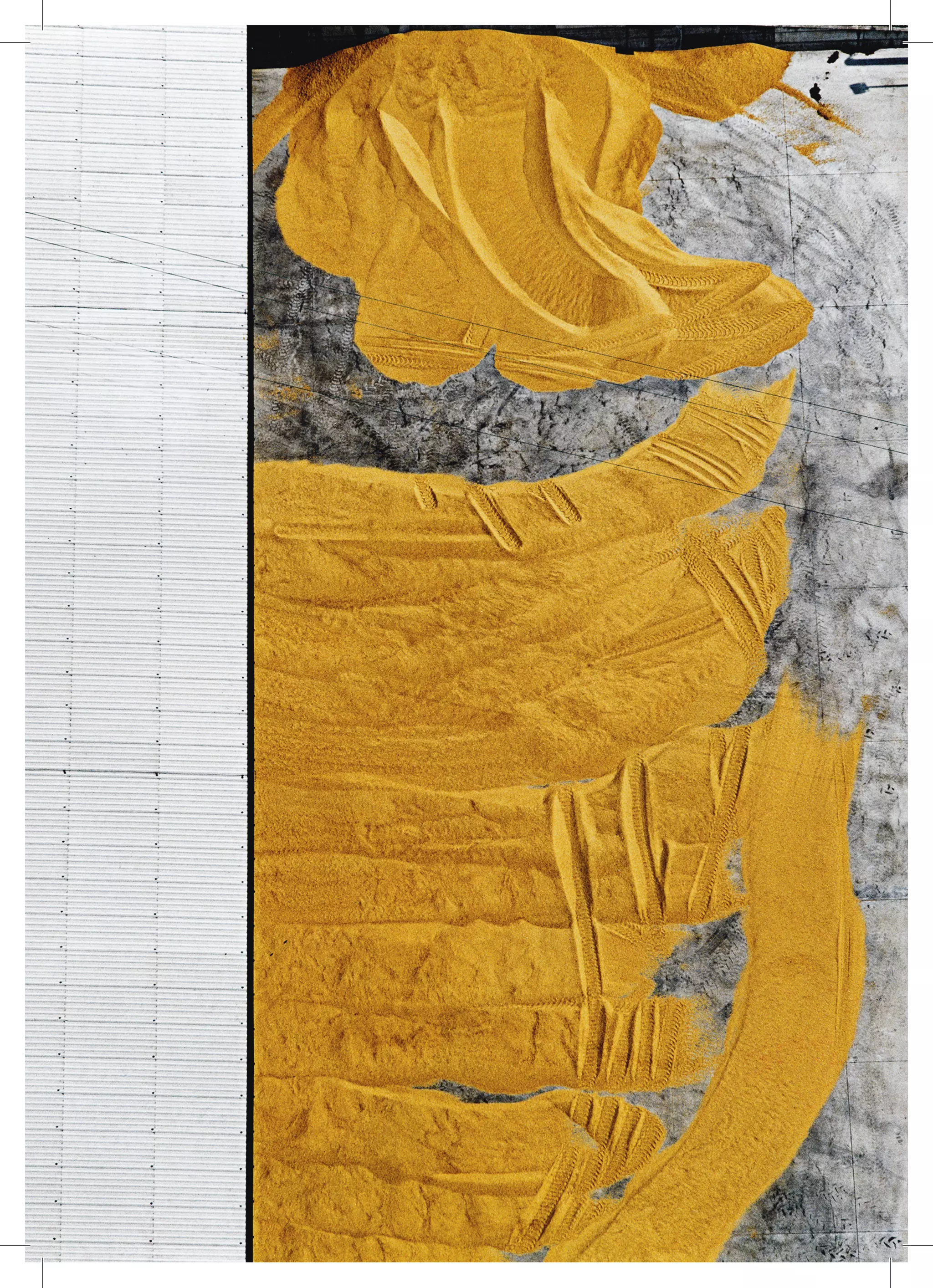 BTV FO.KU.S Giacomo Giannini Isle of View | PDF