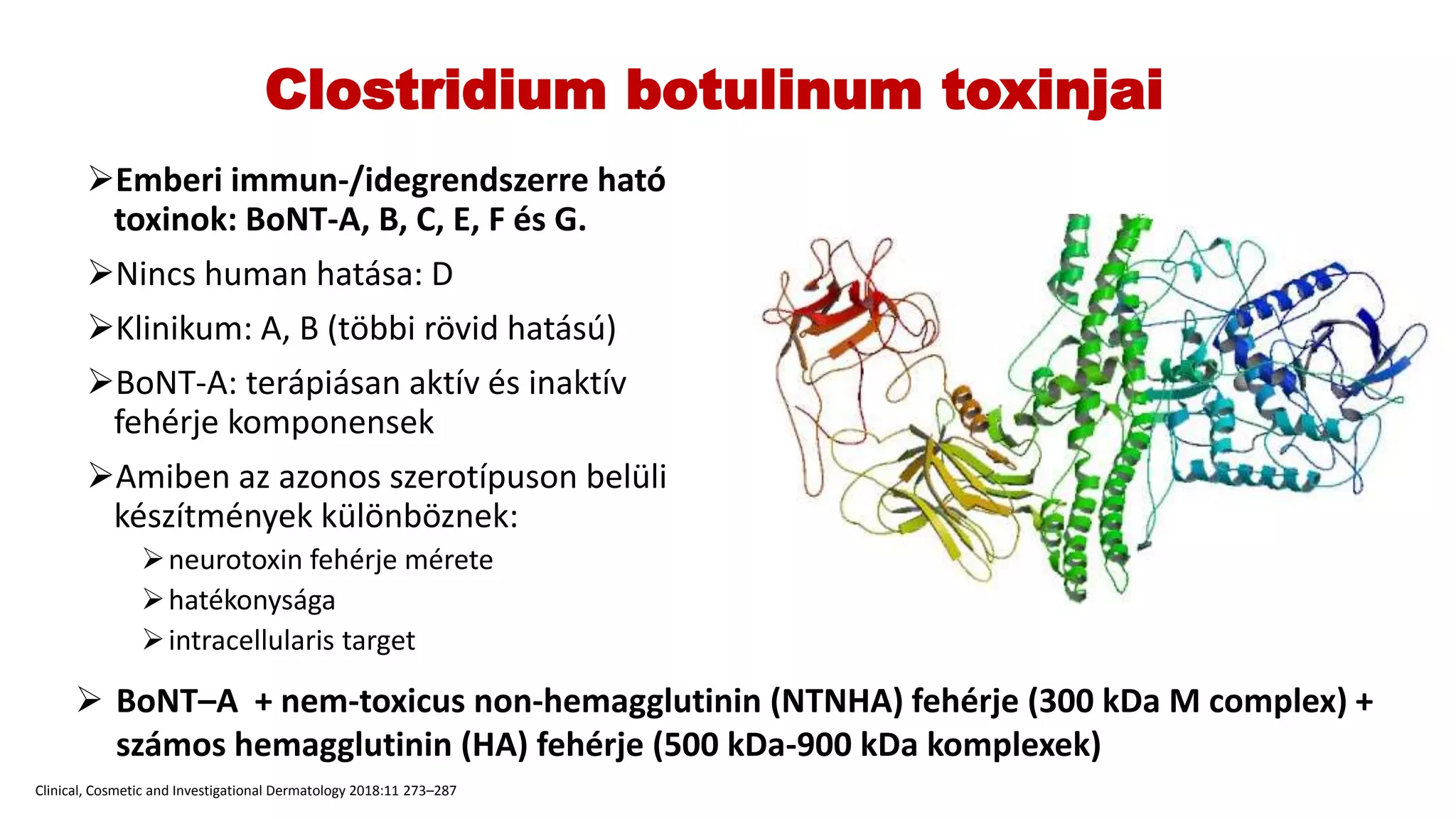 Medical use of botulinum toxin - Botulinum toxin orvosi felhasználása | PPT