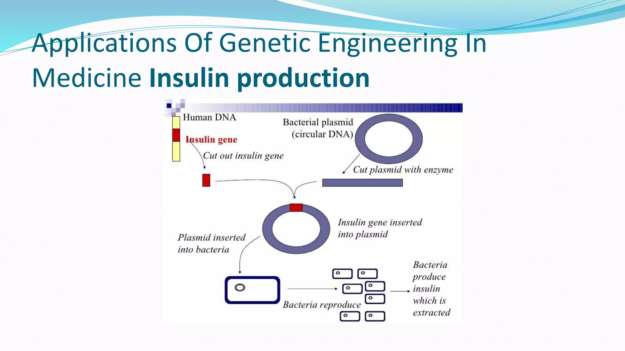applications of genetic engineering | PPTX