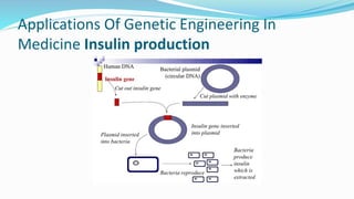 applications of genetic engineering | PPTX