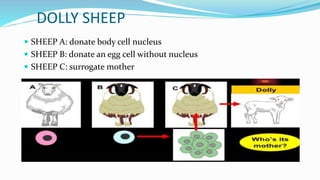 applications of genetic engineering | PPTX