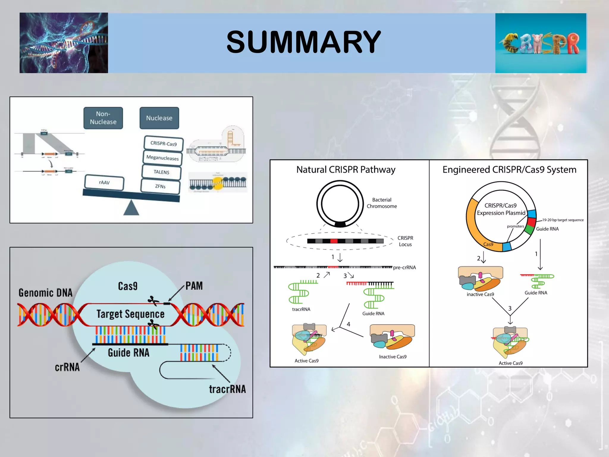 Genome editing with CRISPR/Cas9 | PDF