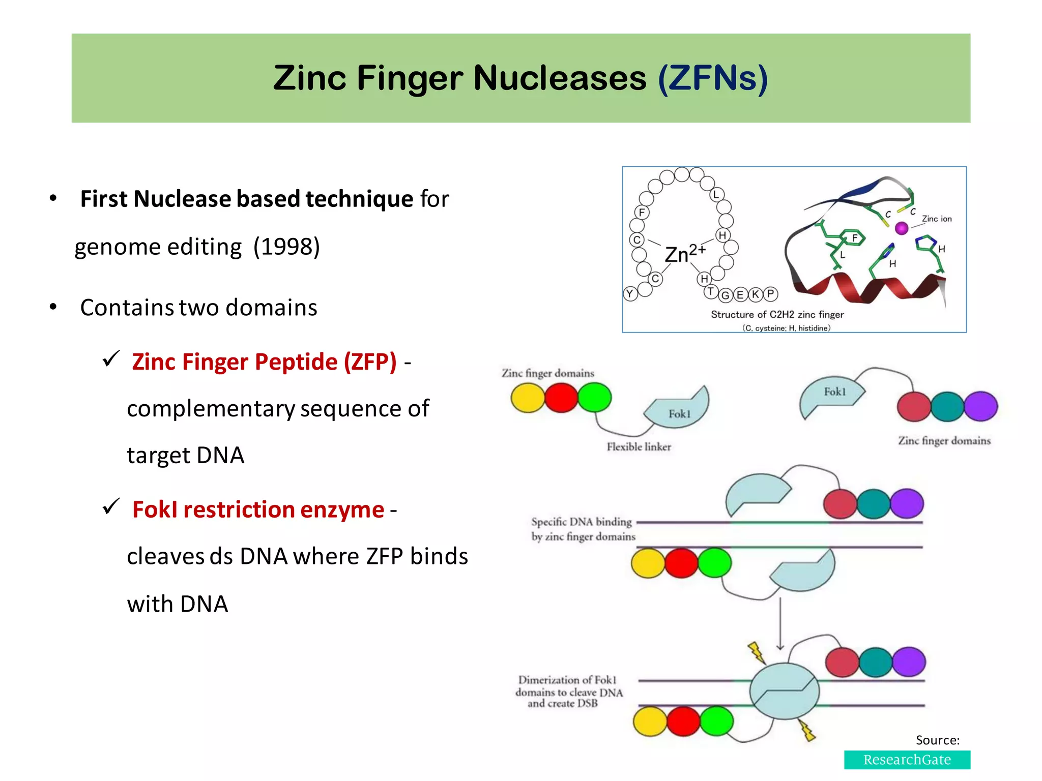 Genome editing with CRISPR/Cas9 | PDF