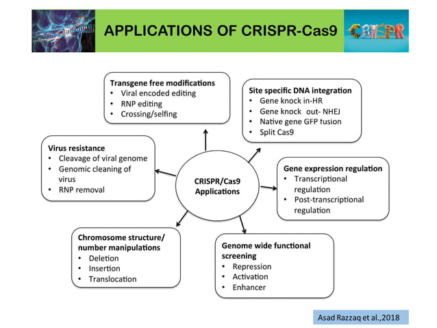Genome editing with CRISPR/Cas9 | PDF