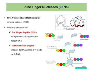 Genome editing with CRISPR/Cas9 | PDF