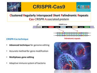 Genome editing with CRISPR/Cas9 | PDF