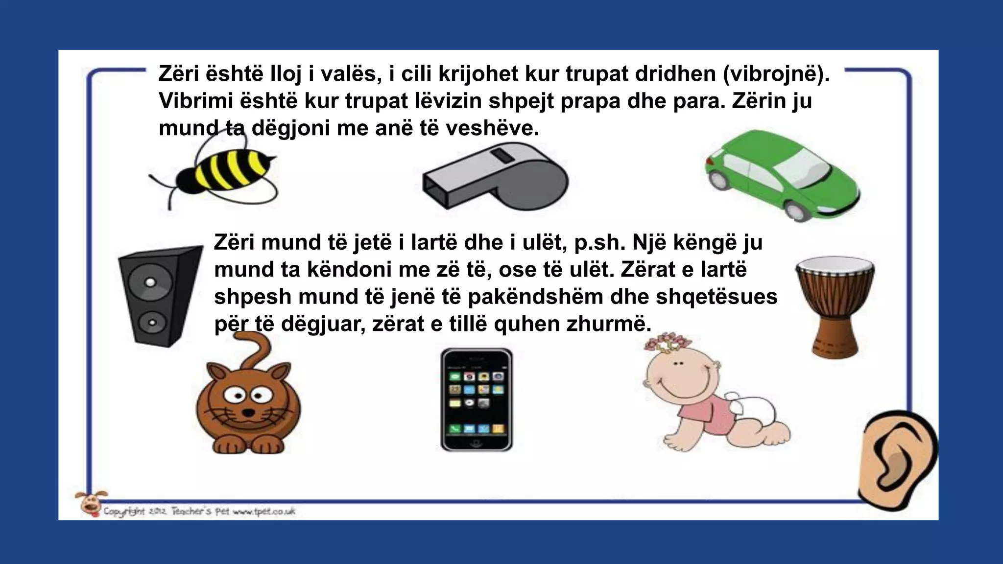 Burimet e zërit | PDF