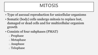 BU4.2 Cell Cycle & Mitosis | PPTX