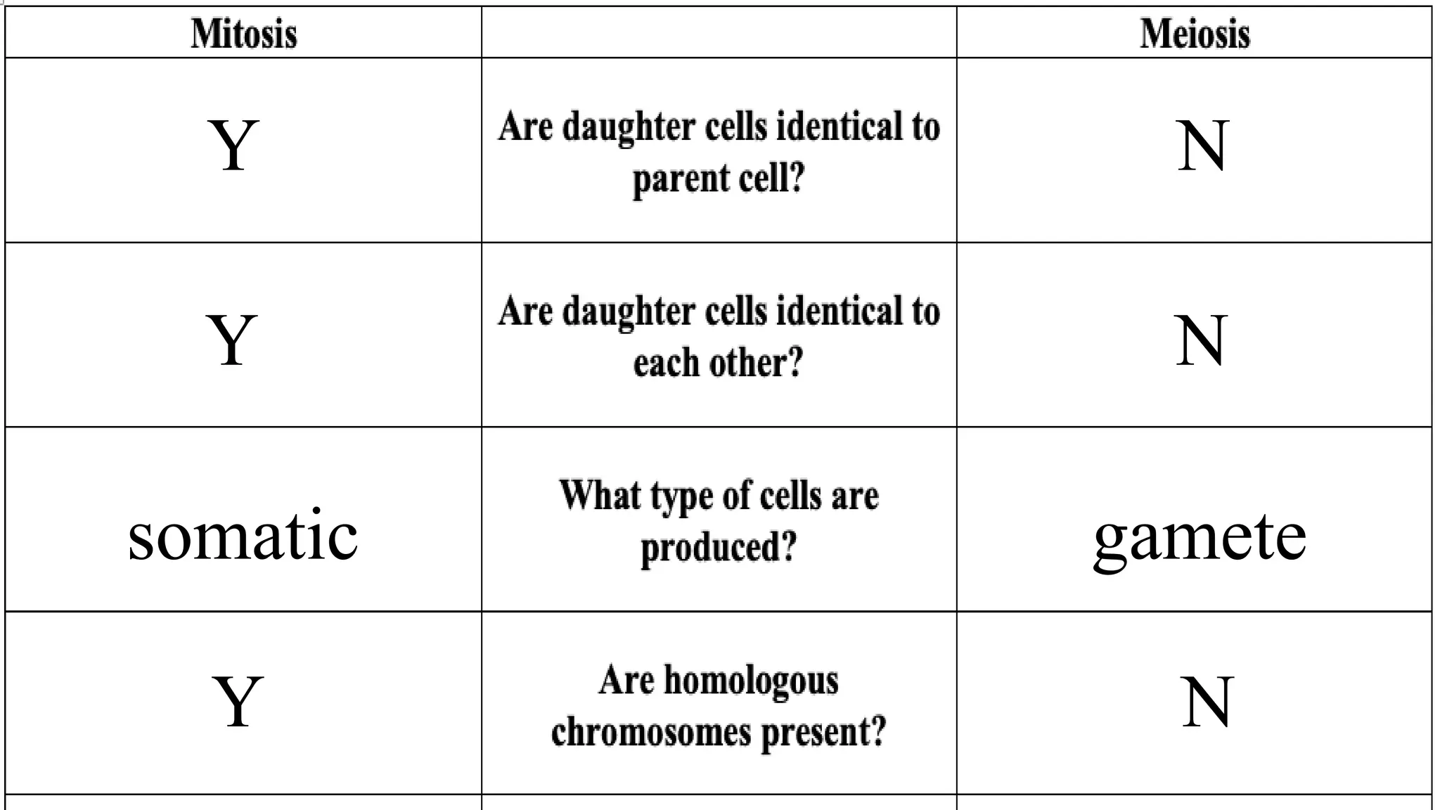 BU4.4 Meiosis & Gamete Formation | PPTX