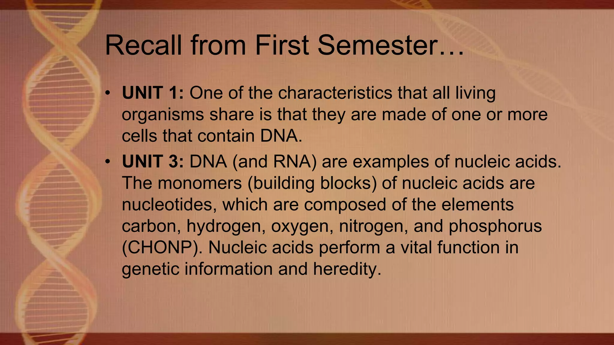 LT5.2 Nucleic Acids (DNA & RNA) | PPTX