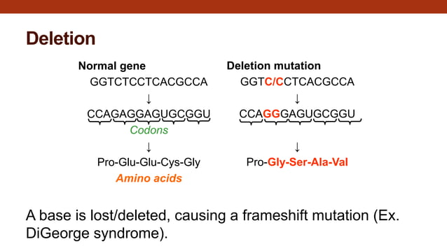 BU5.4 DNA (Gene) Mutations | PPT