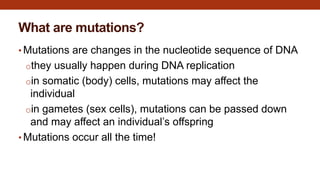 BU5.4 DNA (Gene) Mutations | PPTX