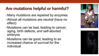 BU5.4 DNA (Gene) Mutations | PPT