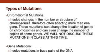 BU5.4 DNA (Gene) Mutations | PPTX