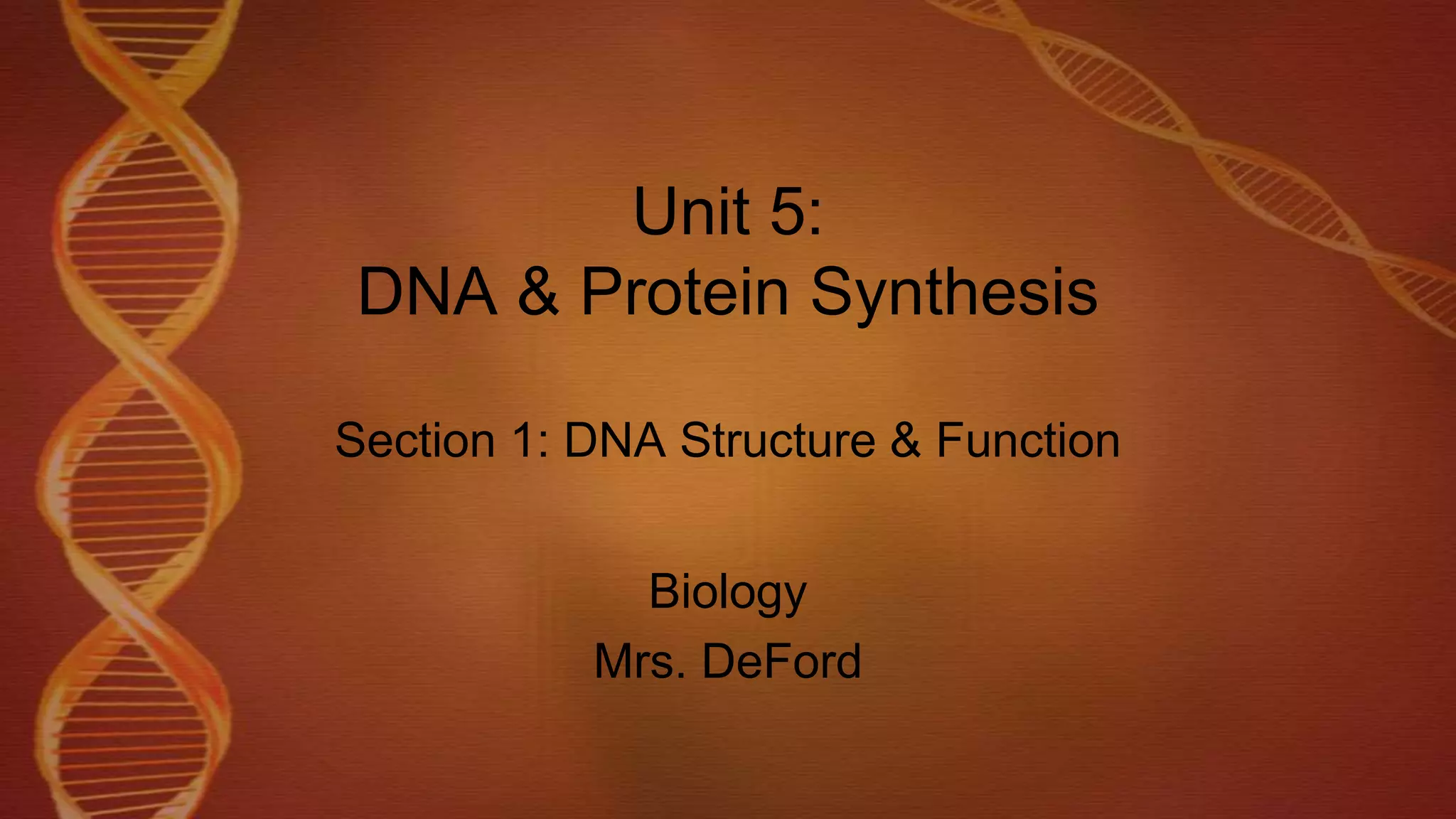 BU5.1 DNA Structure & Function | PPT