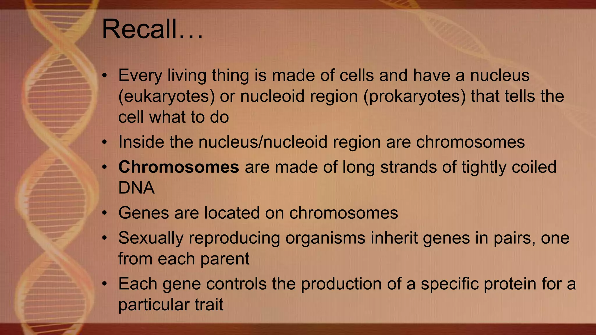 BU5.1 DNA Structure & Function | PPT