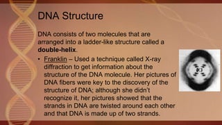 BU5.1 DNA Structure & Function | PPTX