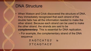 BU5.1 DNA Structure & Function | PPT