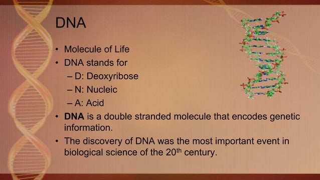 BU5.1 DNA Structure & Function | PPT