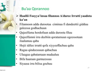 Bu'aa Qorannoo Raayyaa fi qorannoo-1.pptx