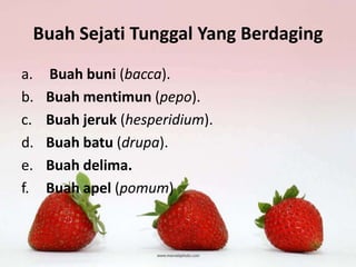 Buah | PPTX