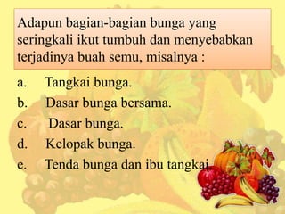 Buah | PPTX